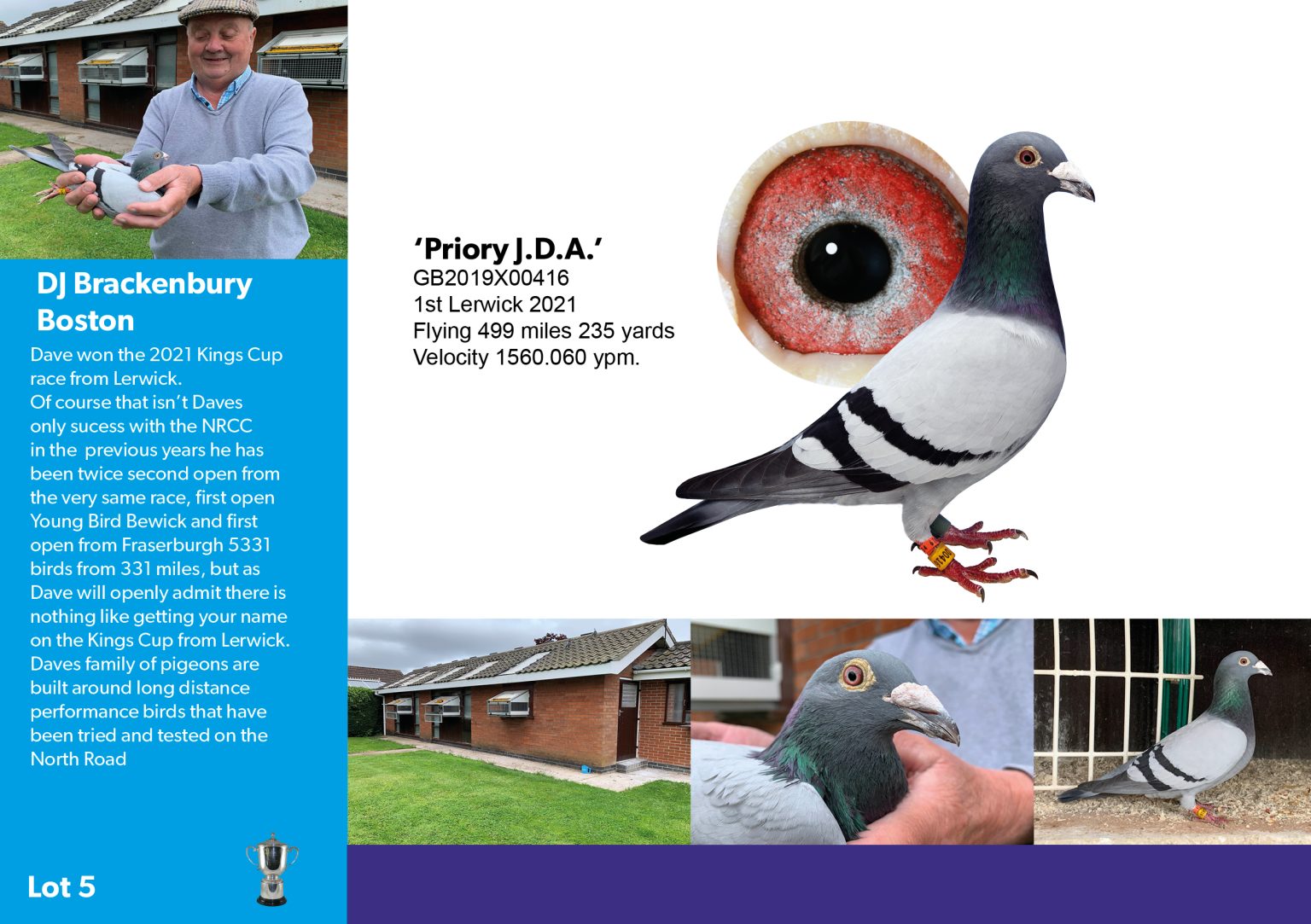 Lot NRCC05 A 2026 Young Bird from David Brackenbury, Boston