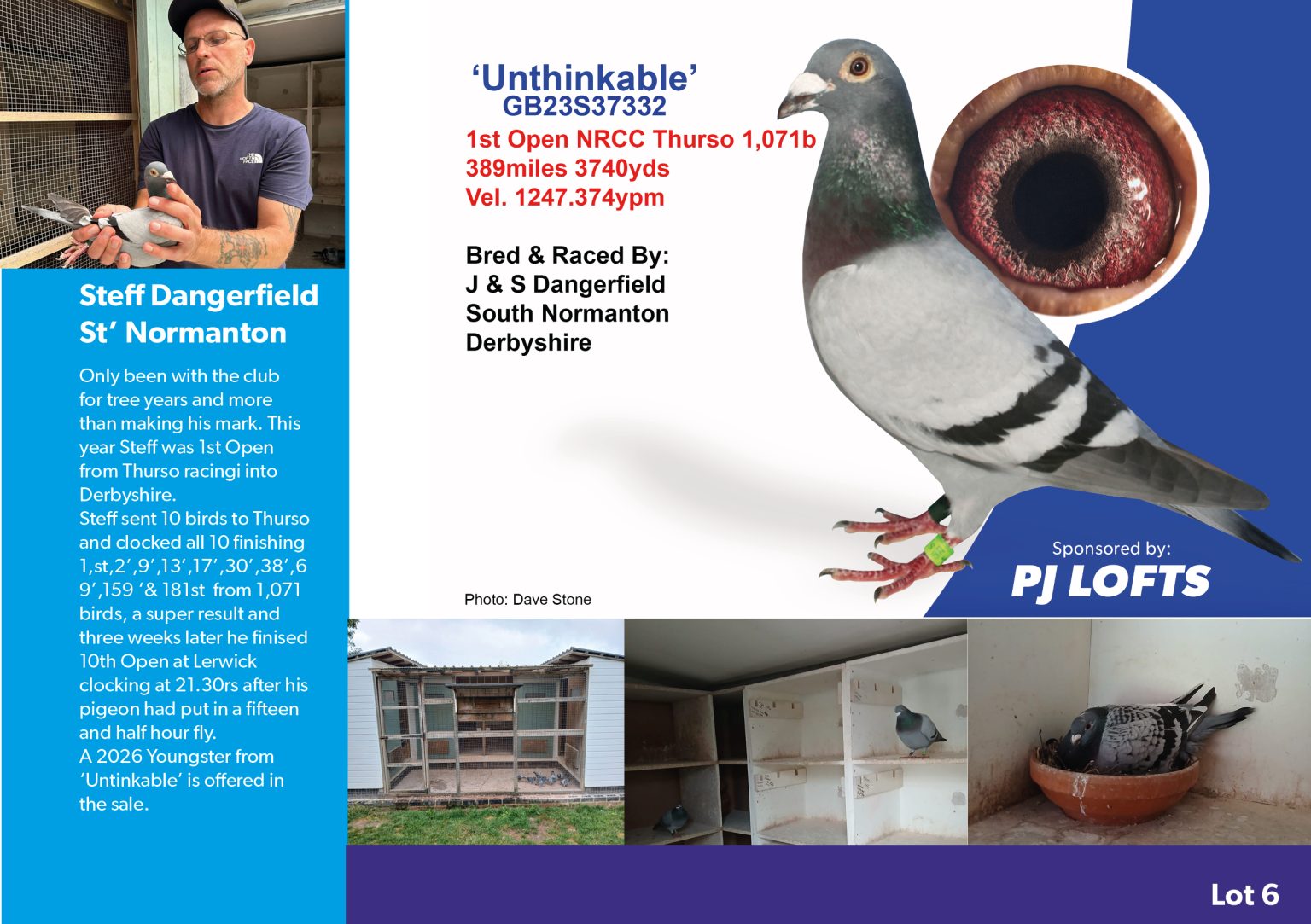 Lot NRCC06 A 2026 YB from Steff Dangerfield, South Normanton’s 2025 NRCC Winner